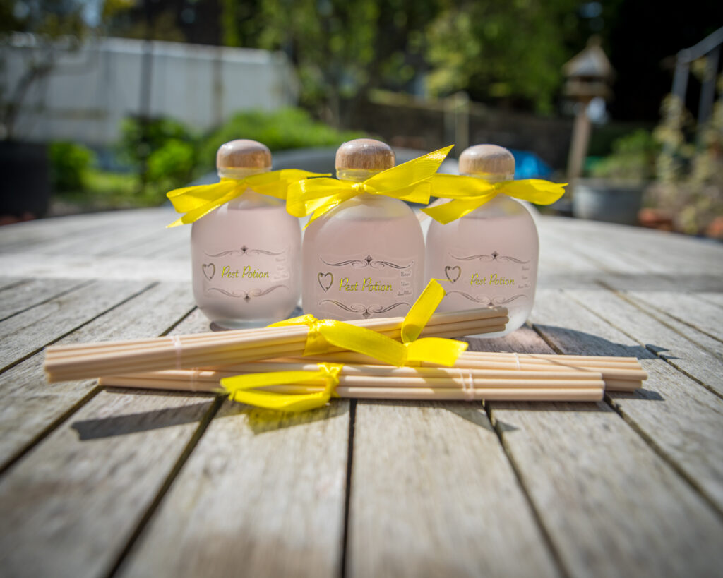 Pest Potion reed diffuser – Herbal Health